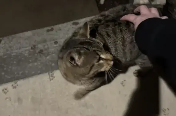 A Bike Ride Full of Hope: A Miraculous Reunion After a Long Year of Waiting – New and Tips